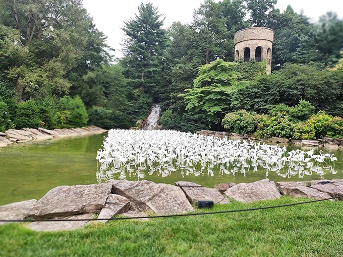 A flock of white sculptures creates surreal magic on the water. This installation proves that sometimes art and nature collaborate on their best work.
