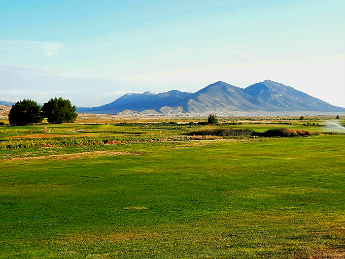 Desert mountains frame manicured greens where golf feels less like competition and more like meditation with occasional club-swinging.