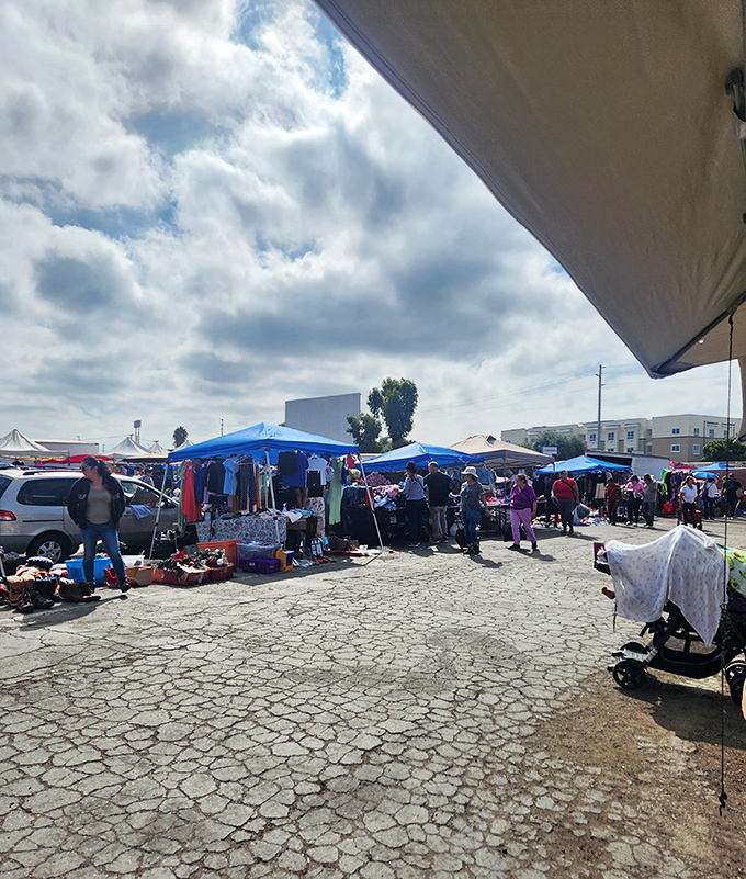 Under the watchful eye of San Diego's famous clouds, shoppers navigate a marketplace where haggling isn't just allowed&mdash;it's expected.