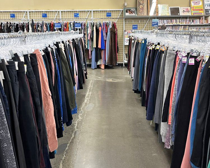 Pants, pants, and more pants&mdash;a denim rainbow offering the promise that somewhere in this sea of fabric lies your perfect fit.