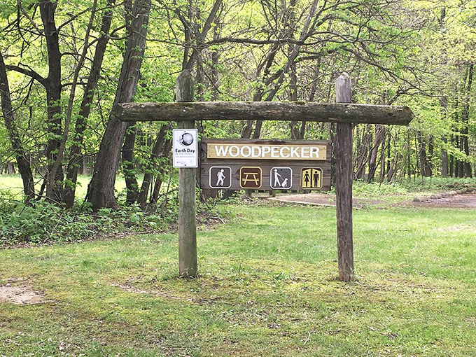 The Woodpecker area &ndash; where the signage is straightforward but the woodpeckers themselves remain freelance percussionists with unpredictable schedules.