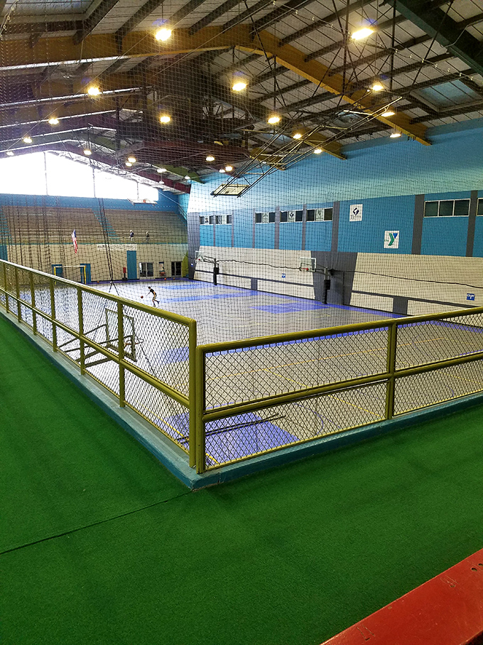 Recreation options abound at the YMCA, where pickleball enthusiasts discover the perfect blend of gentle exercise and not-so-gentle competition.