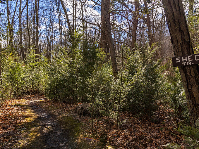 Wooded trails provide peaceful escapes just minutes from downtown&mdash;where the only thing getting thinner is the stress in your shoulders, not your wallet.