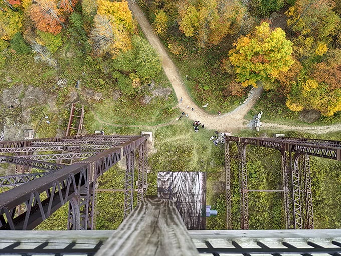 Look down if you dare! This vertigo-inducing perspective makes you question your life choices—in the most exhilarating way possible.