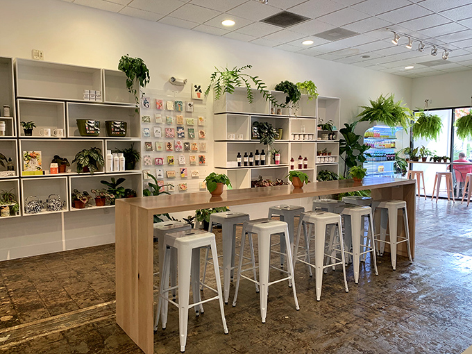 Plants cascade from shelves while greeting cards and artisanal products line the walls. It's part cafe, part garden, part gift shop&mdash;all inviting.