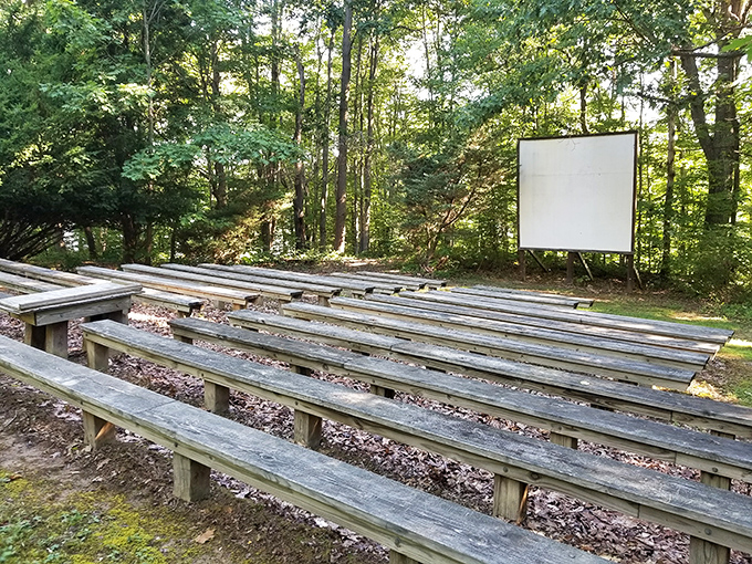 Outdoor amphitheater: where ranger talks become unexpectedly fascinating and stars provide the ultimate ceiling design.