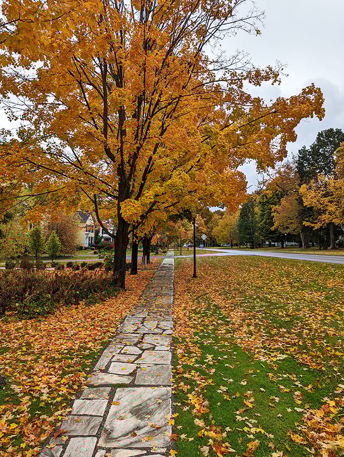 Autumn in Manchester isn't showing off&mdash;it's just being itself. Those golden leaves create a natural confetti celebrating the change of seasons.