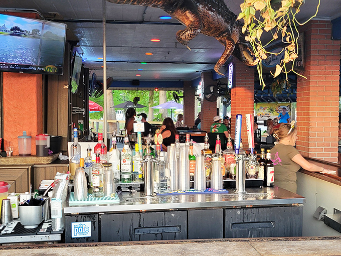 The bar setup could be intimidating if the staff weren't so friendly. That alligator hanging from the ceiling? Just a local keeping an eye on things.