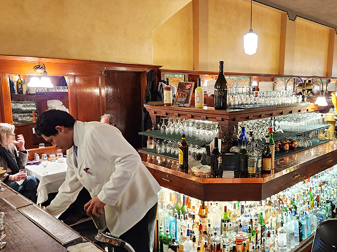 The bar shelves gleam with bottles like an adult candy store, where bartenders craft cocktails with the confidence that comes from decades of practice.