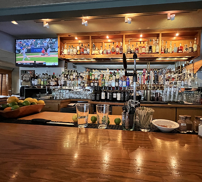 A bar stocked like a liquid library, where bartenders are the librarians of libations ready to recommend your next favorite drink.