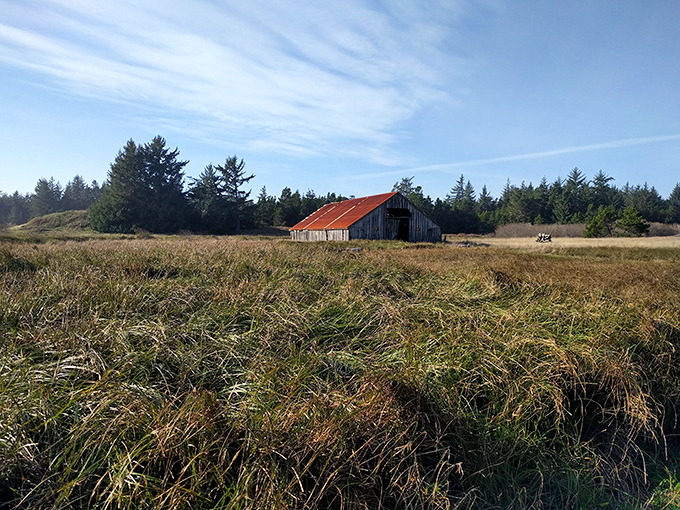 This weathered barn stands as a quiet reminder of the area's agricultural past. History doesn't always need a plaque to tell its story.