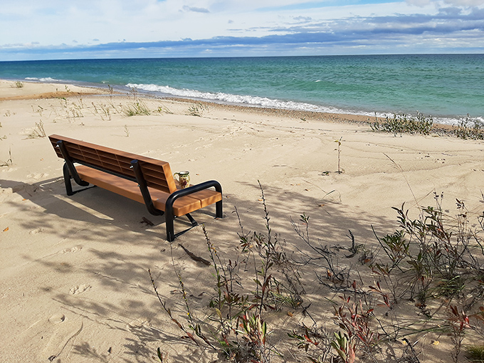 A solitary bench on Lake Huron's shore offers the best seat in the house for nature's greatest show: waves, wind, and the therapeutic sound of water meeting sand.