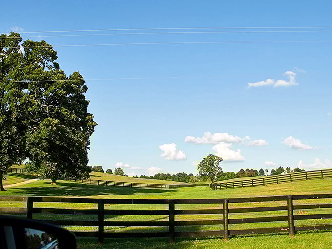 Rolling hills that seem to unfold forever—this is the landscape that inspired countless painters and one very famous bourbon industry.