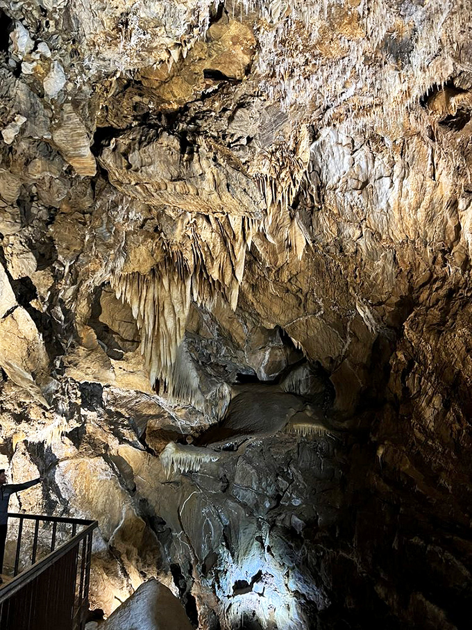 Nature's architecture on full display&mdash;flowing stone draperies and delicate formations create an otherworldly landscape that feels almost designed.