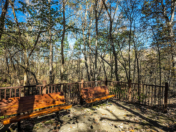 Take a moment to soak in the view! These strategically placed benches offer perfect spots for contemplating nature's extraordinary handiwork.