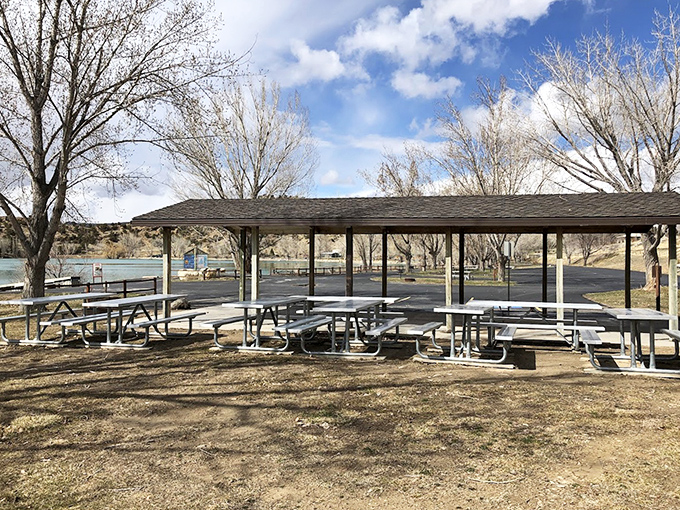 The covered picnic area that's seen generations of family reunions, birthday celebrations, and the occasional "I forgot the ketchup" crisis.