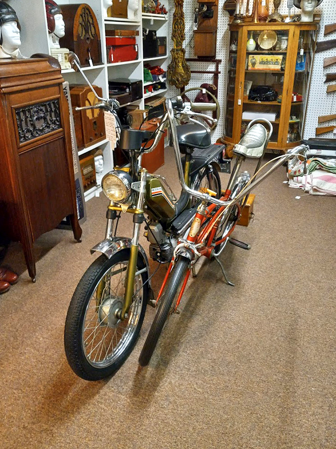 That vintage moped isn't just transportation&mdash;it's a time machine with handlebars, ready to zoom you back to simpler days.