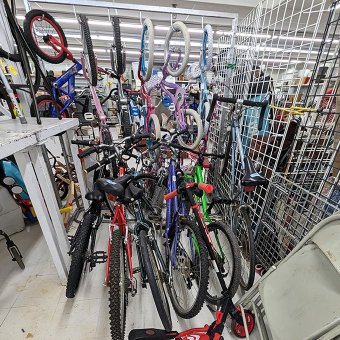 The bicycle collection offers wheels for every family member, from first-time riders to weekend warriors hitting Colorado's scenic trails.