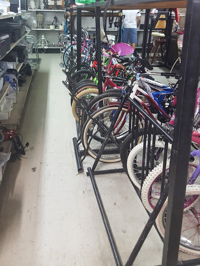Bicycle bonanza! From kids' training wheels to adult cruisers, these pre-loved cycles are ready for new adventures on Florida's flat terrain.