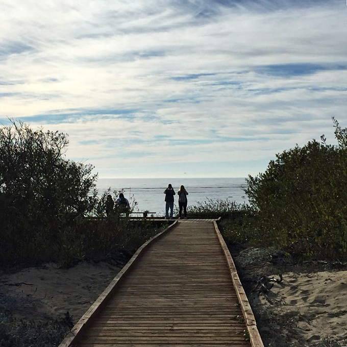 This wooden boardwalk leads visitors through fragile dune habitats toward ocean vistas that seem to stretch all the way to tomorrow.