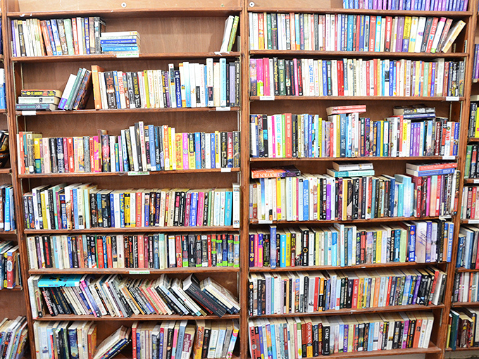 Bibliophile heaven! Enough books to build a fort, start a library, or finally tackle that reading list you've been avoiding since college.