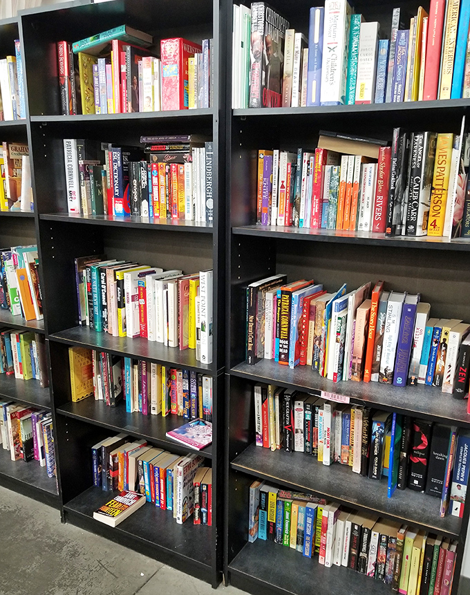 The book section rivals small libraries, offering literary journeys from bestsellers to obscure gems for pocket change.