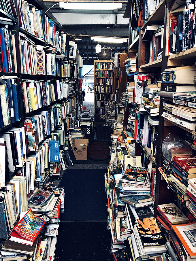 Literary labyrinths where bookworms can get happily lost for hours. Every spine holds a potential adventure or forgotten wisdom.