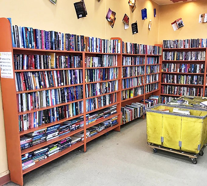 A bibliophile's dream corner where literary treasures await new homes&mdash;proof that good stories, like good people, deserve second chances.