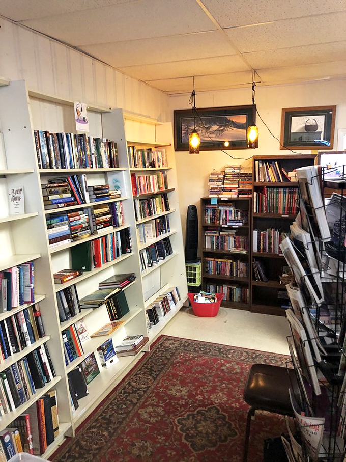 The book nook &ndash; a literary treasure trove where dog-eared paperbacks and forgotten bestsellers await their next adventure.