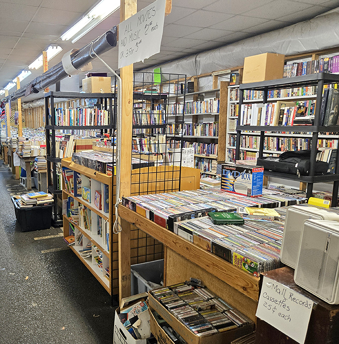 Literary paradise where dog-eared paperbacks and forgotten vinyl records await their second act in someone's collection.