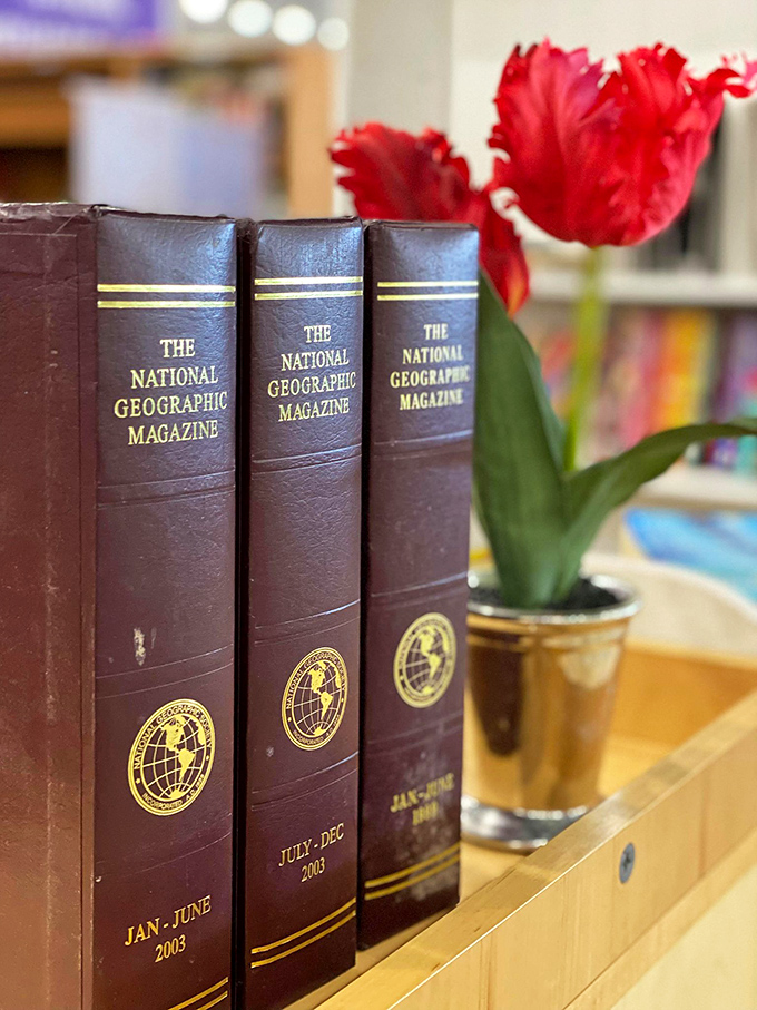 Bound volumes of National Geographic offer armchair adventures beside a tulip that seems to approve of your literary choices.