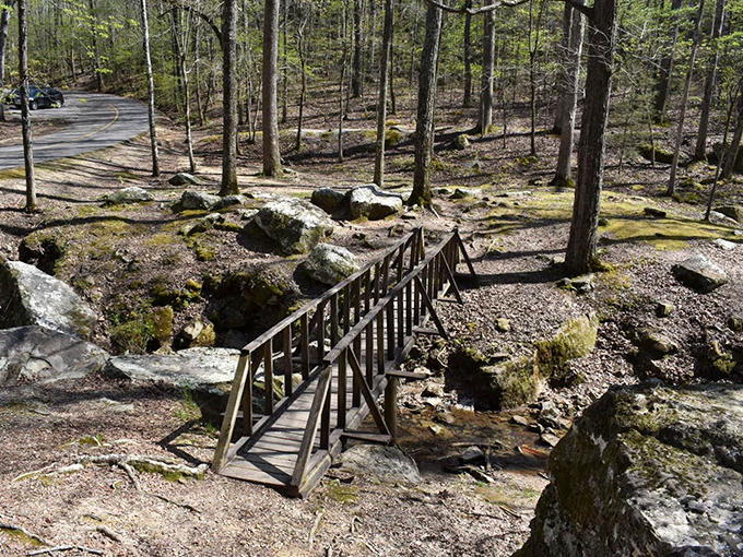 Not all bridges span water &ndash; some, like this rustic wooden walkway, connect us to parts of ourselves we forgot existed.