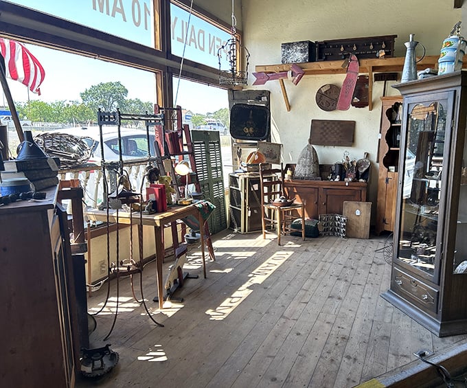 Sunlight streams through windows illuminating a collection where one person's "I don't need that anymore" becomes another's "I've been looking everywhere for this!"