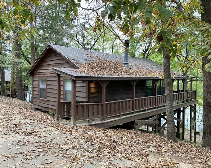 Riverside cabins offer front-row seats to nature's greatest show. No tickets required, standing ovations happen at sunrise.