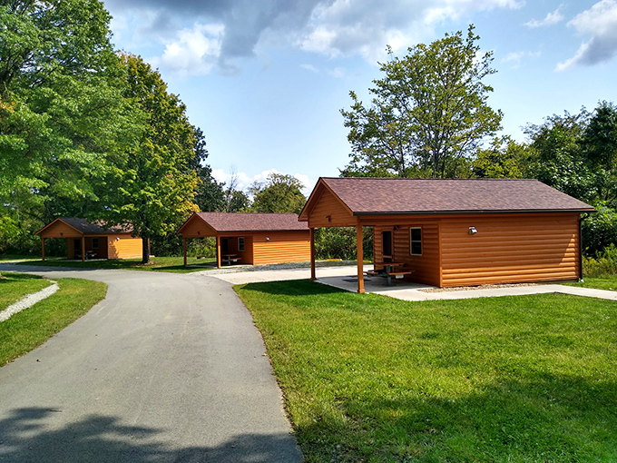Cozy cabins tucked among trees offer wilderness comfort for those who prefer solid walls to tent flaps. Glamping before it became a hashtag!