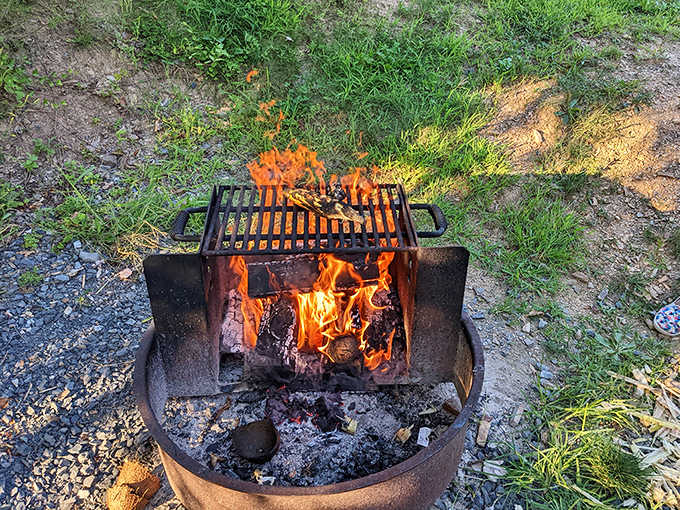 Nothing says "perfect evening" quite like a campfire crackling away while dinner sizzles on the grate above.