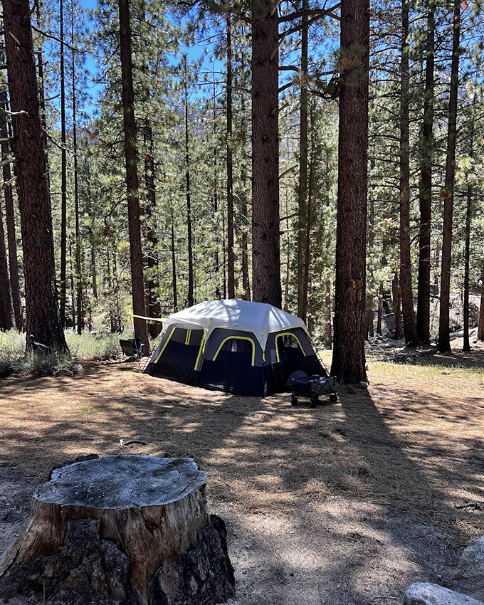 Forest camping that delivers on every "unplug and reconnect" promise without the forced wellness retreat vibe.