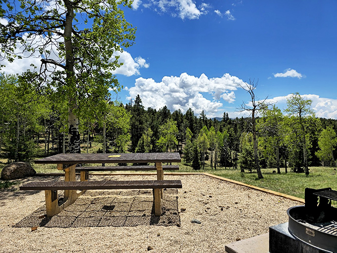 Picnic perfection with a side of mountain majesty. This spot practically begs you to unpack a sandwich and stay awhile.