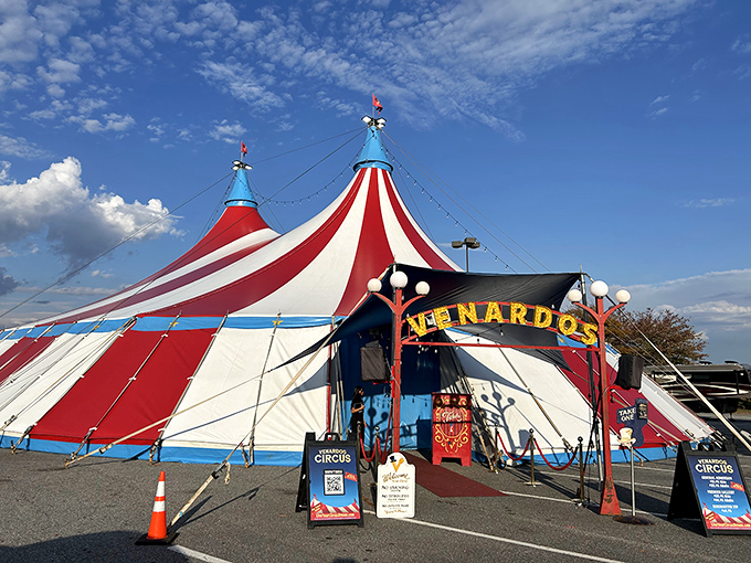 The Venardos Circus brings unexpected carnival magic to the parking lot &ndash; retail therapy with a side of acrobatics.