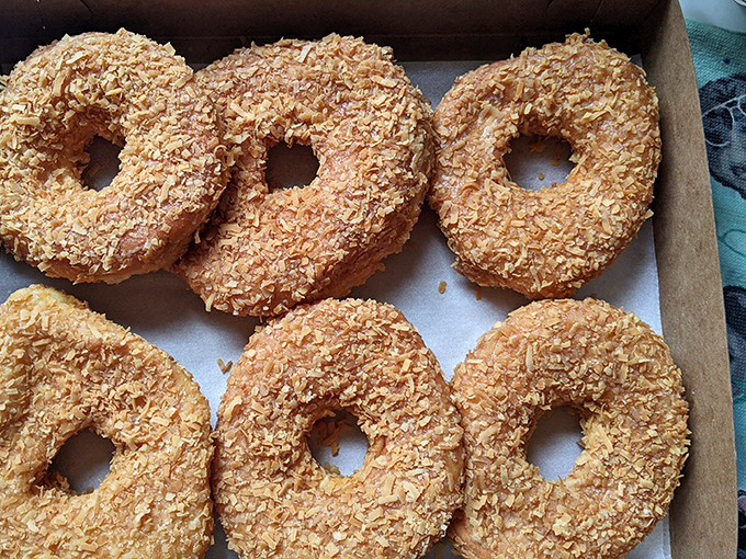 Coconut-covered donuts lined up like tropical islands of delight, no passport or sunscreen required for this vacation.