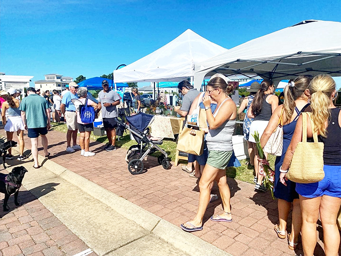 The farmers market buzzes with energy as shoppers hunt for Eastern Shore treasures, from just-picked produce to handcrafted souvenirs.