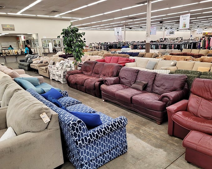 Couch kingdom where leather thrones meet floral-patterned commoners &ndash; all equally eager to cradle your posterior after a long day.