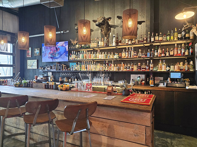 A bar that understands barbecue deserves proper liquid companionship. That cow head watching over proceedings seems to approve of your bourbon choice.
