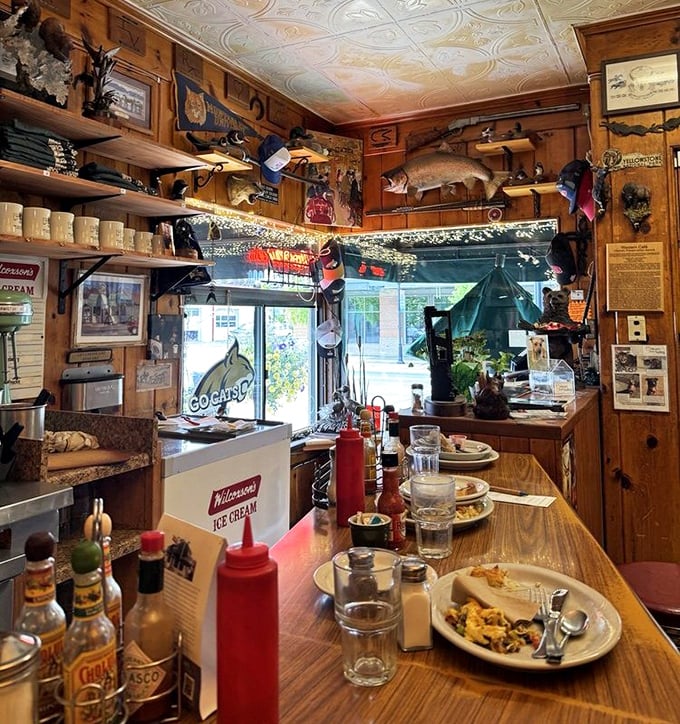 The counter seats offer front-row views to the culinary action &ndash; where regulars exchange local gossip while taxidermy fish silently observe from above.