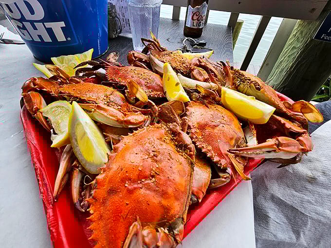 Blue crabs in their full glory&mdash;nature's puzzle boxes filled with sweet meat that makes the work of extraction feel like a treasure hunt worth every minute.