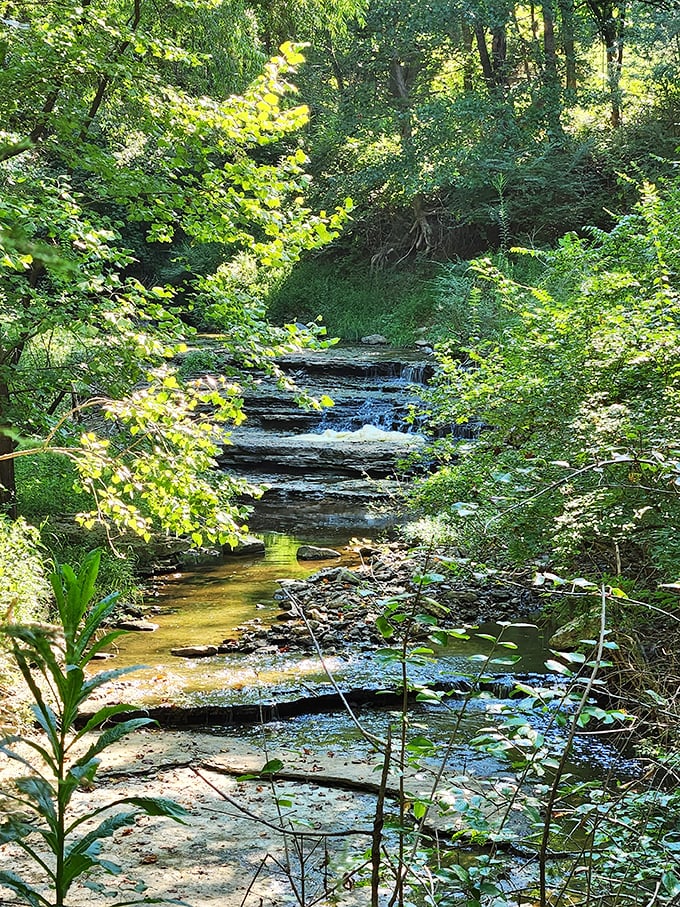 Radnor's hidden creek performs nature's original soundtrack&mdash;part babbling brook, part percussion section, all soothing to the soul.