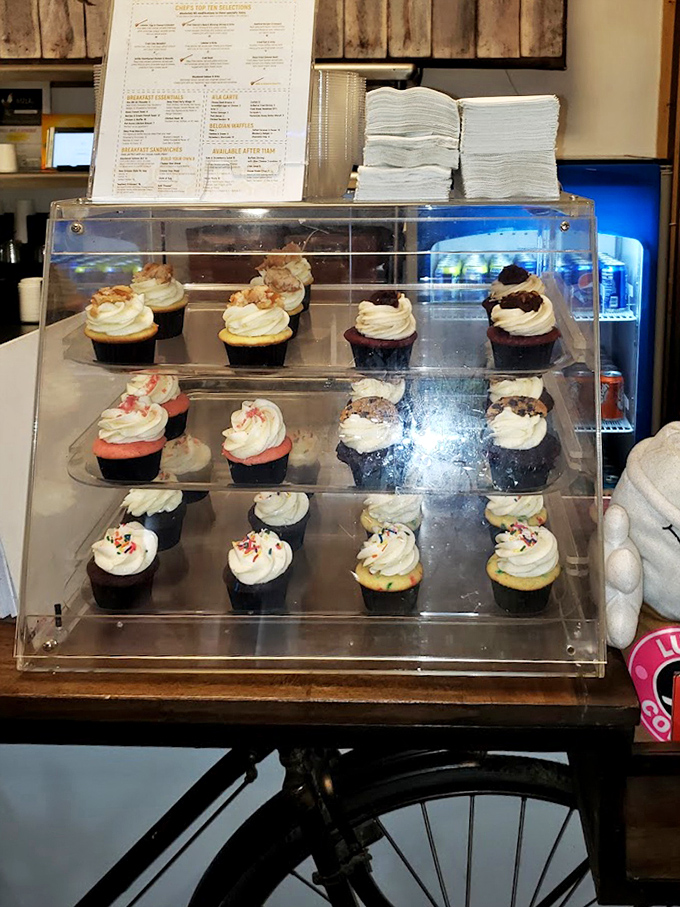 A display case of cupcakes standing at attention, each one silently whispering, "Yes, you absolutely have room for dessert."