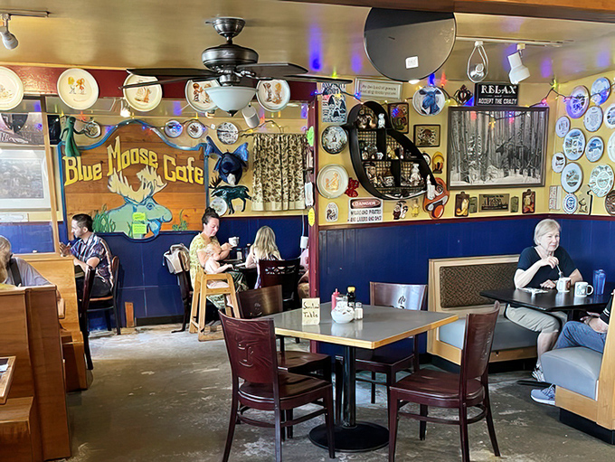 The best diners have that perfect buzz of conversation, coffee brewing, and grill sizzling &ndash; a symphony of comfort that makes you want to linger.