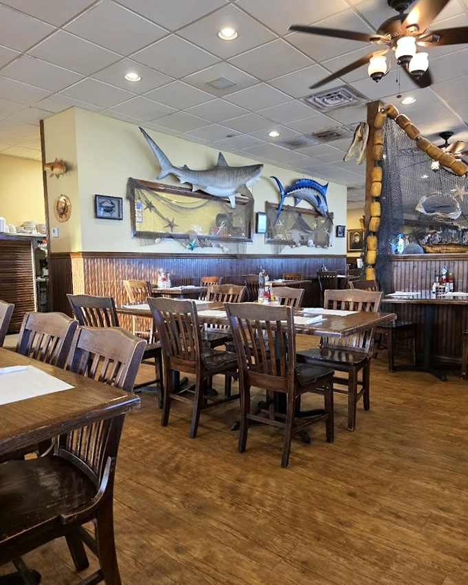 Not just tables and chairs &ndash; but front-row seats to seafood excellence. The mounted shark watches approvingly as diners make good choices.