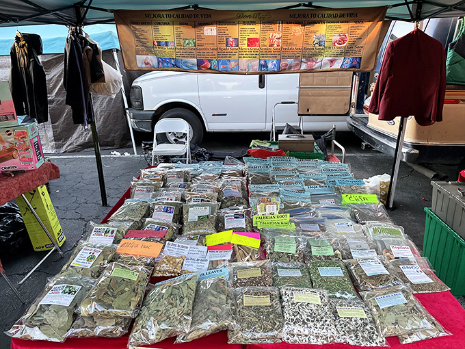 Nature's pharmacy spread out like a wizard's ingredient table. These dried herbs promise culinary magic or medicinal mysteries.